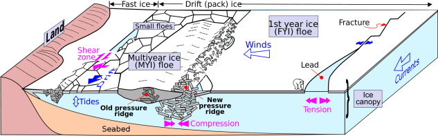 Sea ice is complicated, but do sea ice models need to be? – The Social ...