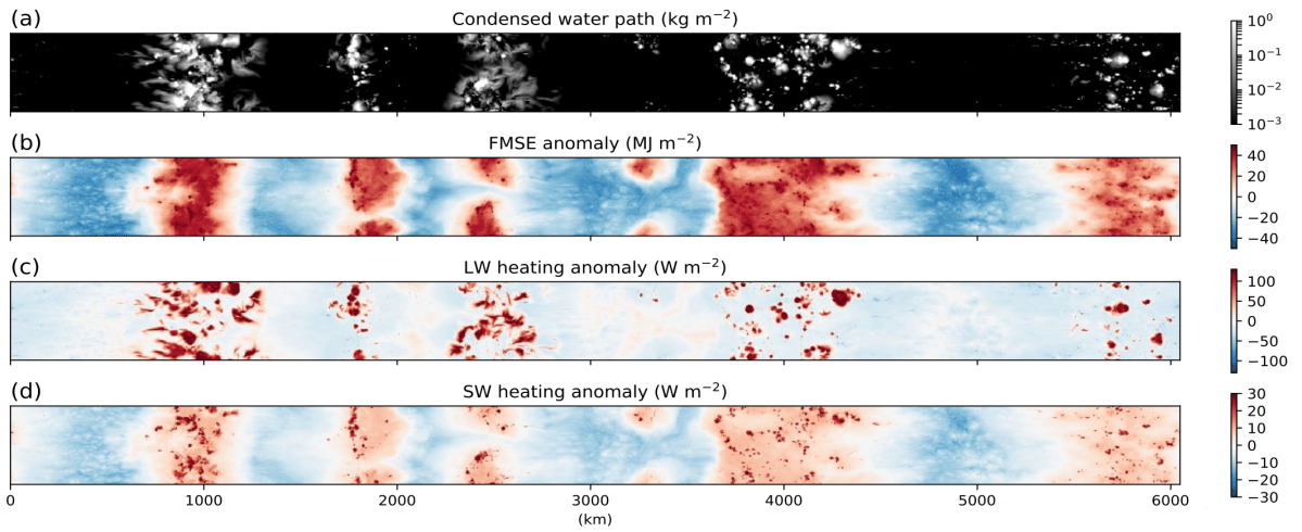 Cloud-Radiation Interactions and Their Contributions to Convective Self ...